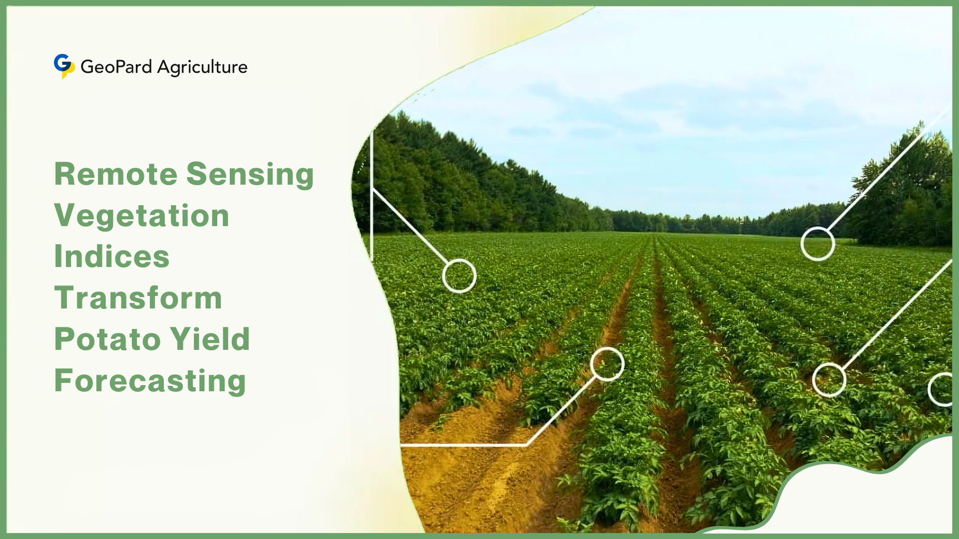 Remote Sensing Vegetation Indices Transform Potato Yield Forecasting ...